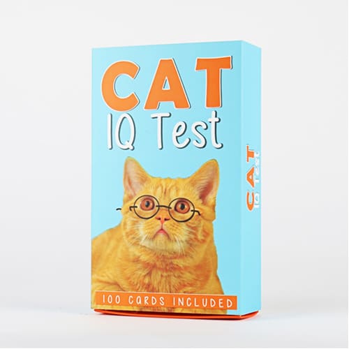 Cat IQ Test - Smart Home - Zatu Home